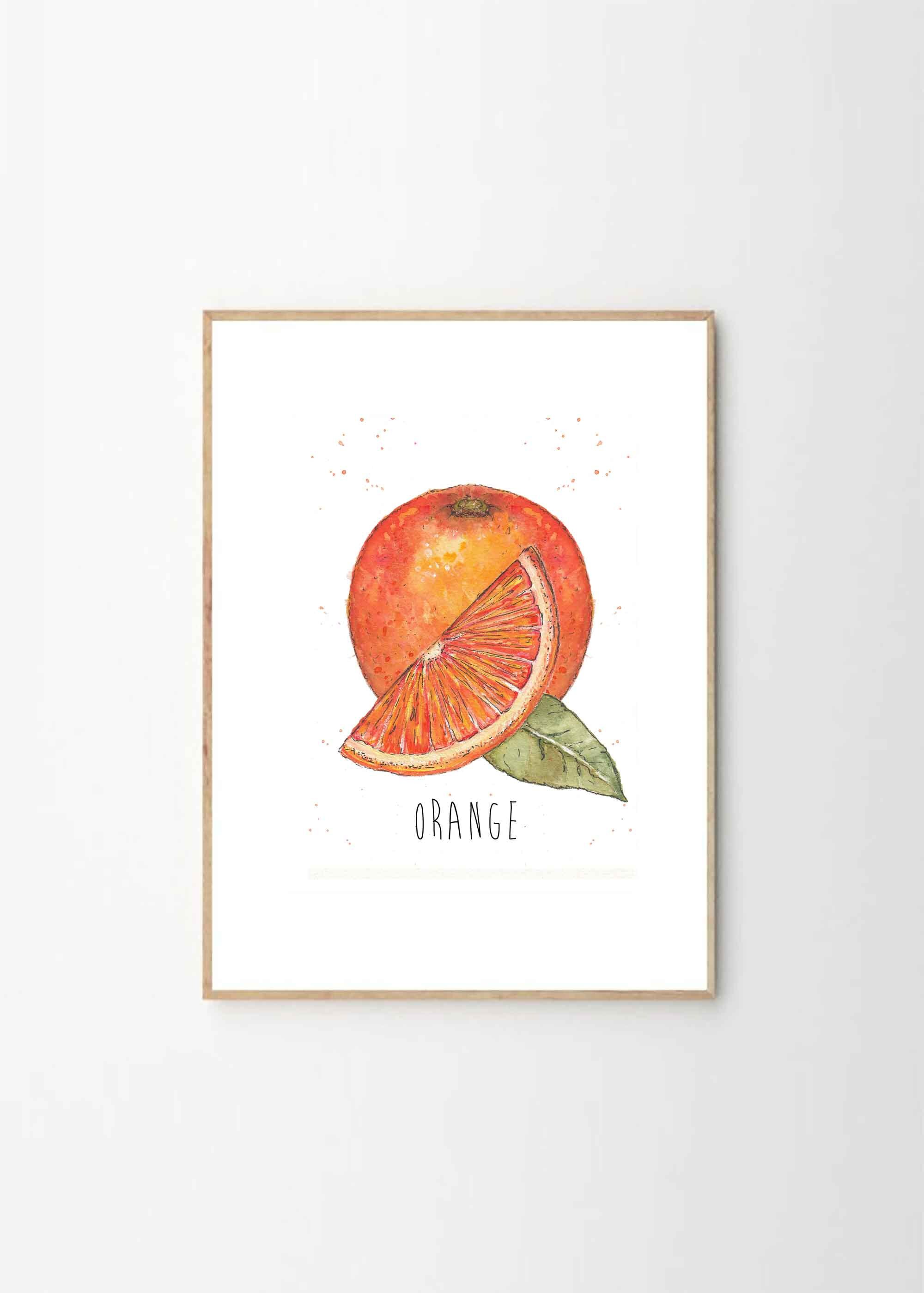 Orange Fruit Print | Fruit Watercolor Painting | Wall Art | Watercolor ...