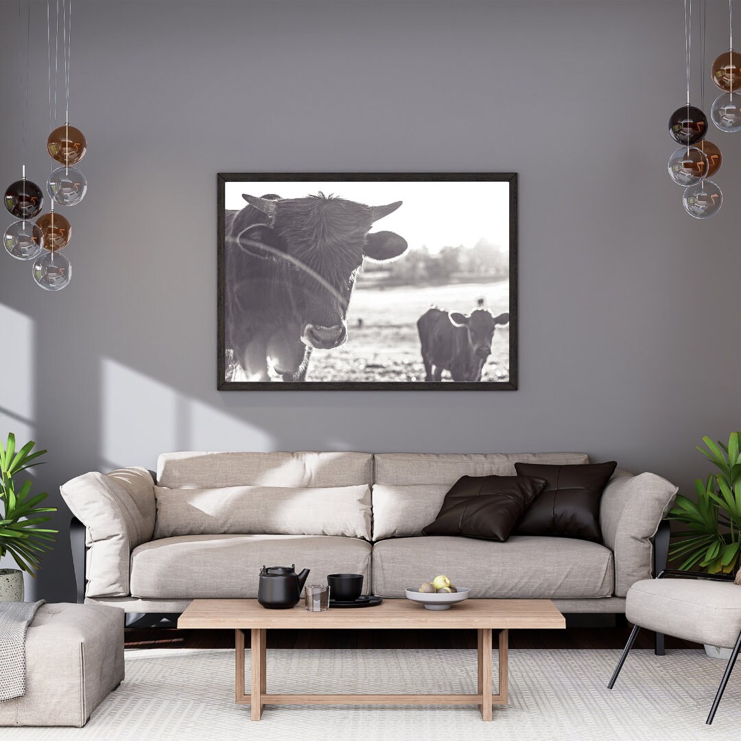 Black an White Cow Print, Cow Art, Steer Art, Western Digital Art - Etsy