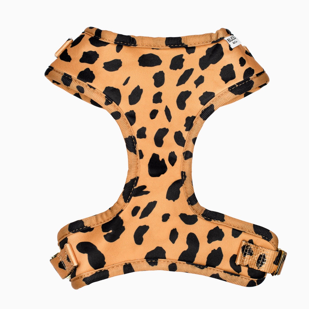 Leopard Dog Harness - Etsy