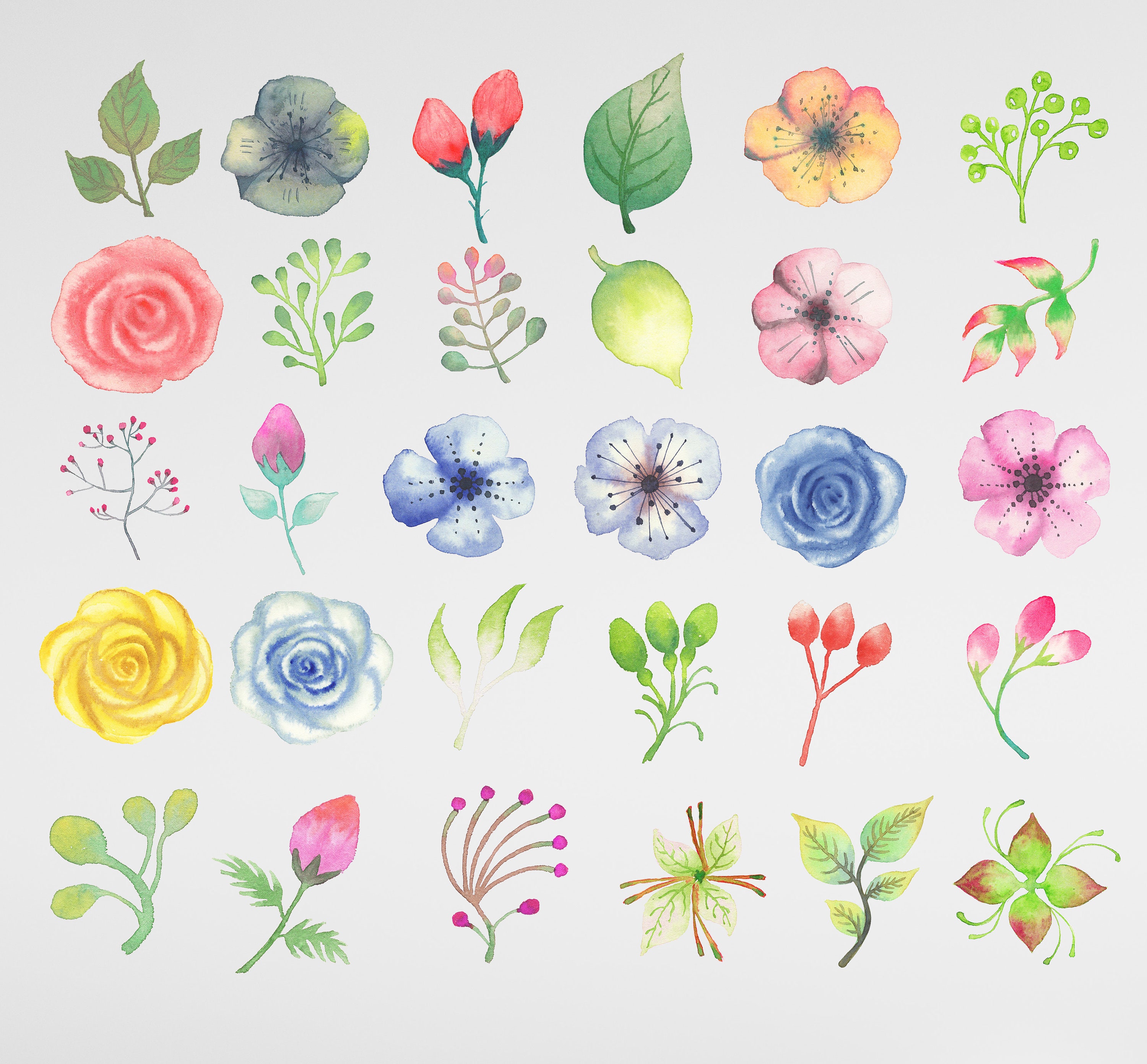 Hand Painted Watercolor Clip Art - Etsy