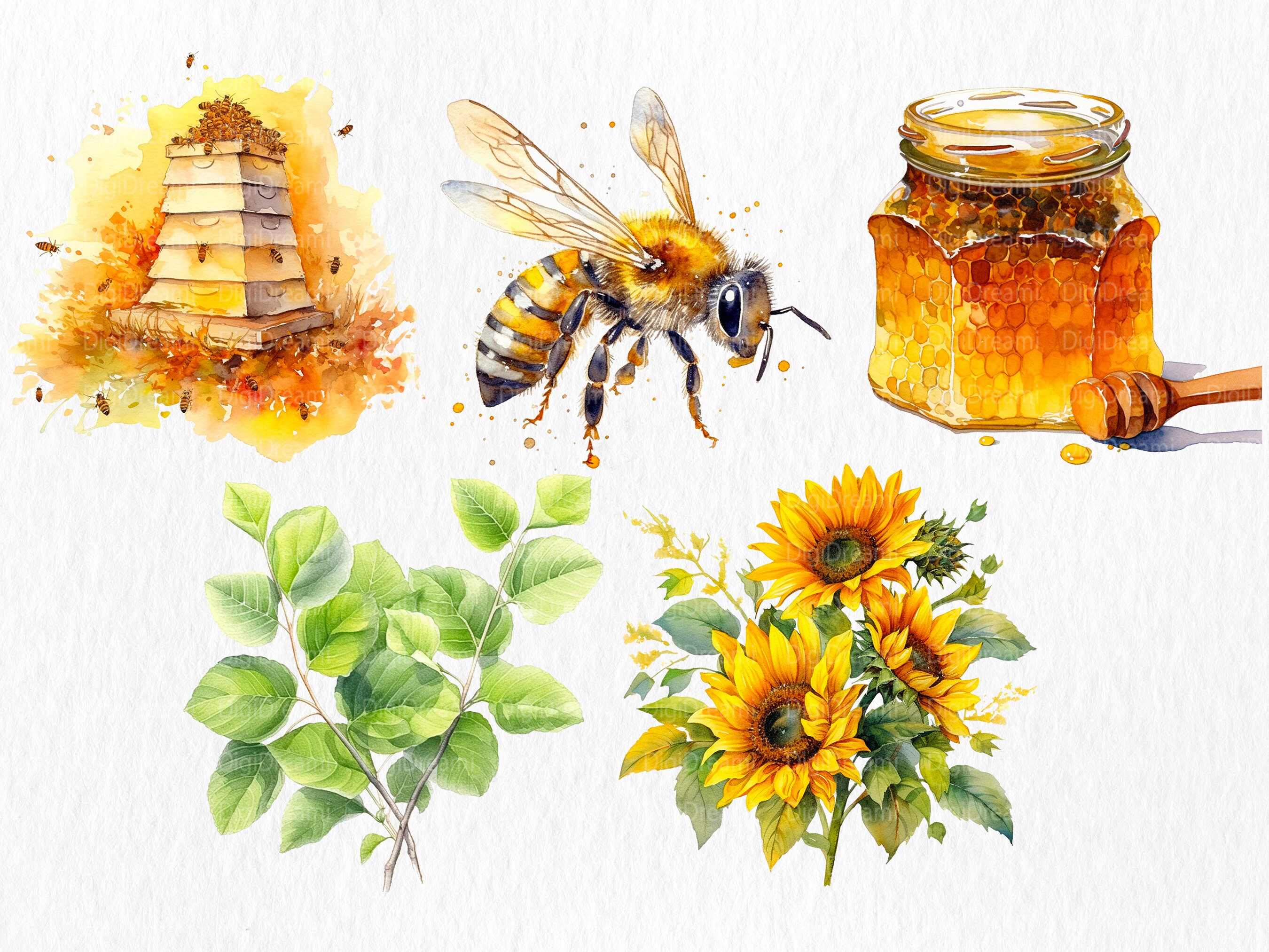 25 Watercolor Honey Bee Clipart PNG Whimsical Honey Bee Cute Honey Bee ...