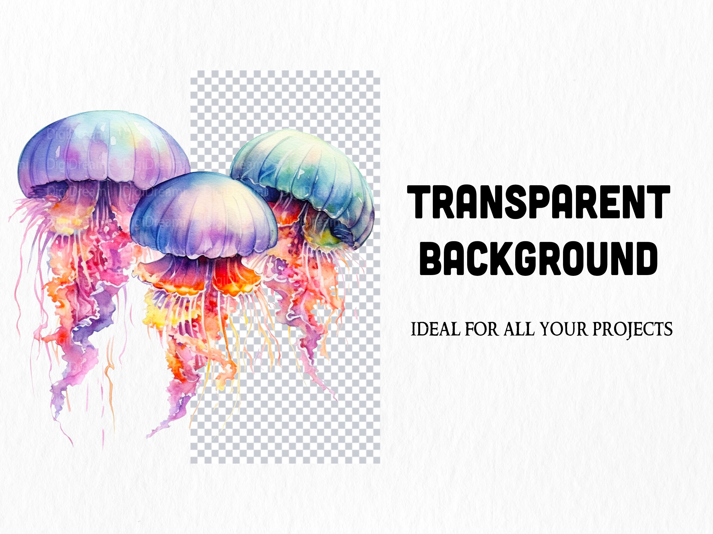 25 Watercolor Under the Sea Clipart PNG Fantasy Marine Life, for ...