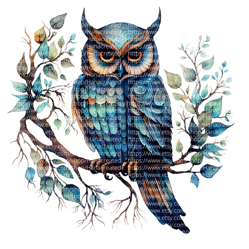 Boho Owl Clipart, Animal Clipart, Watercolor Prints, PNG Files, Clipart ...