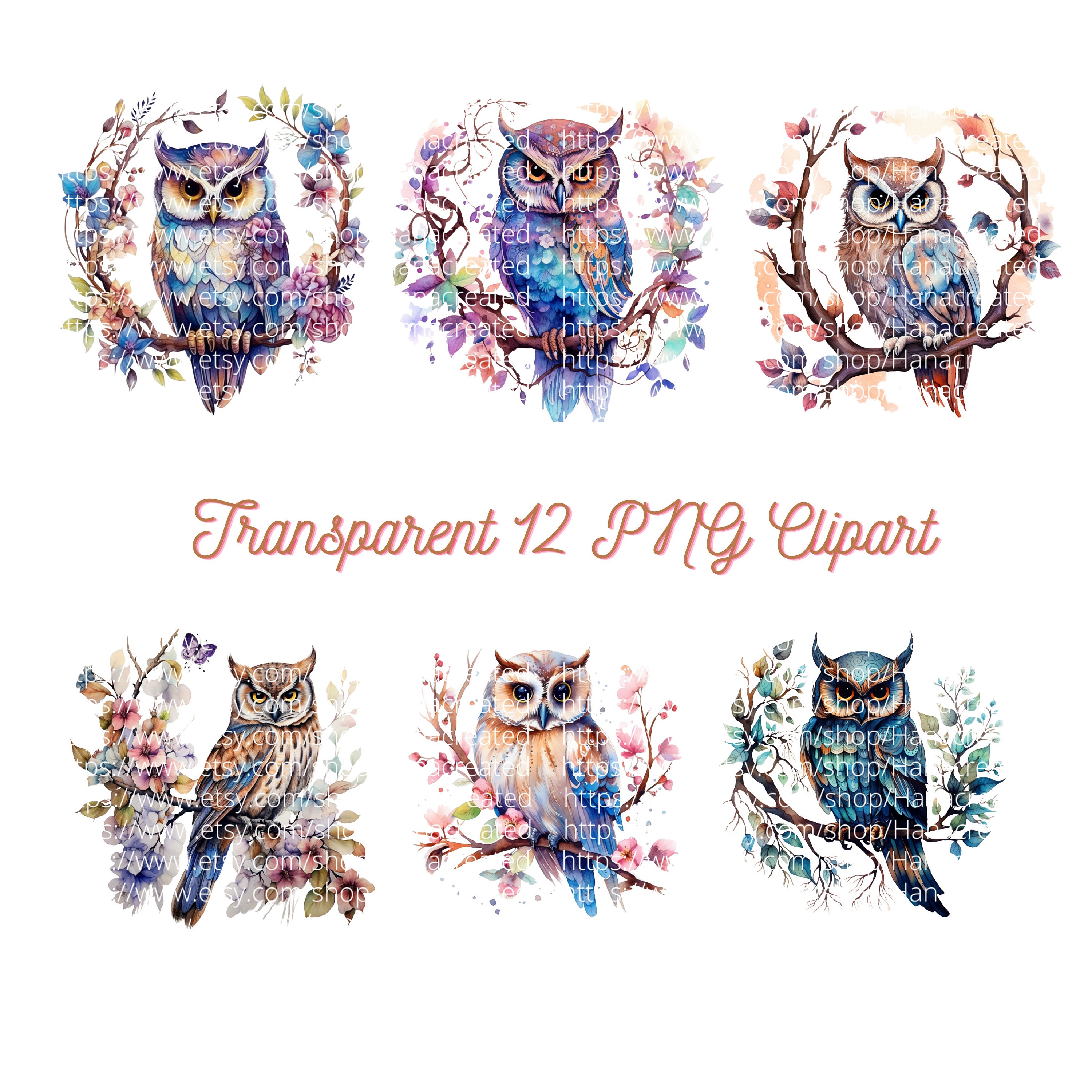 Boho Owl Clipart, Animal Clipart, Watercolor Prints, PNG Files, Clipart ...