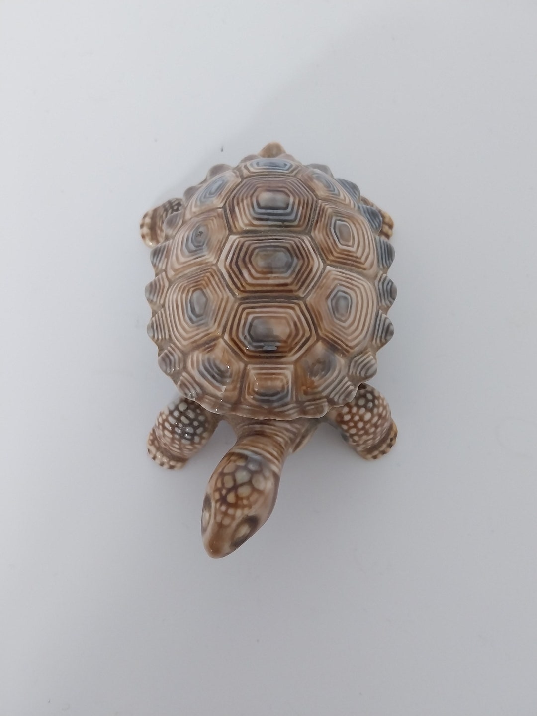 Vintage Wade Tortoise Trinket Box in Porcelain. Unique Dressing Table ...