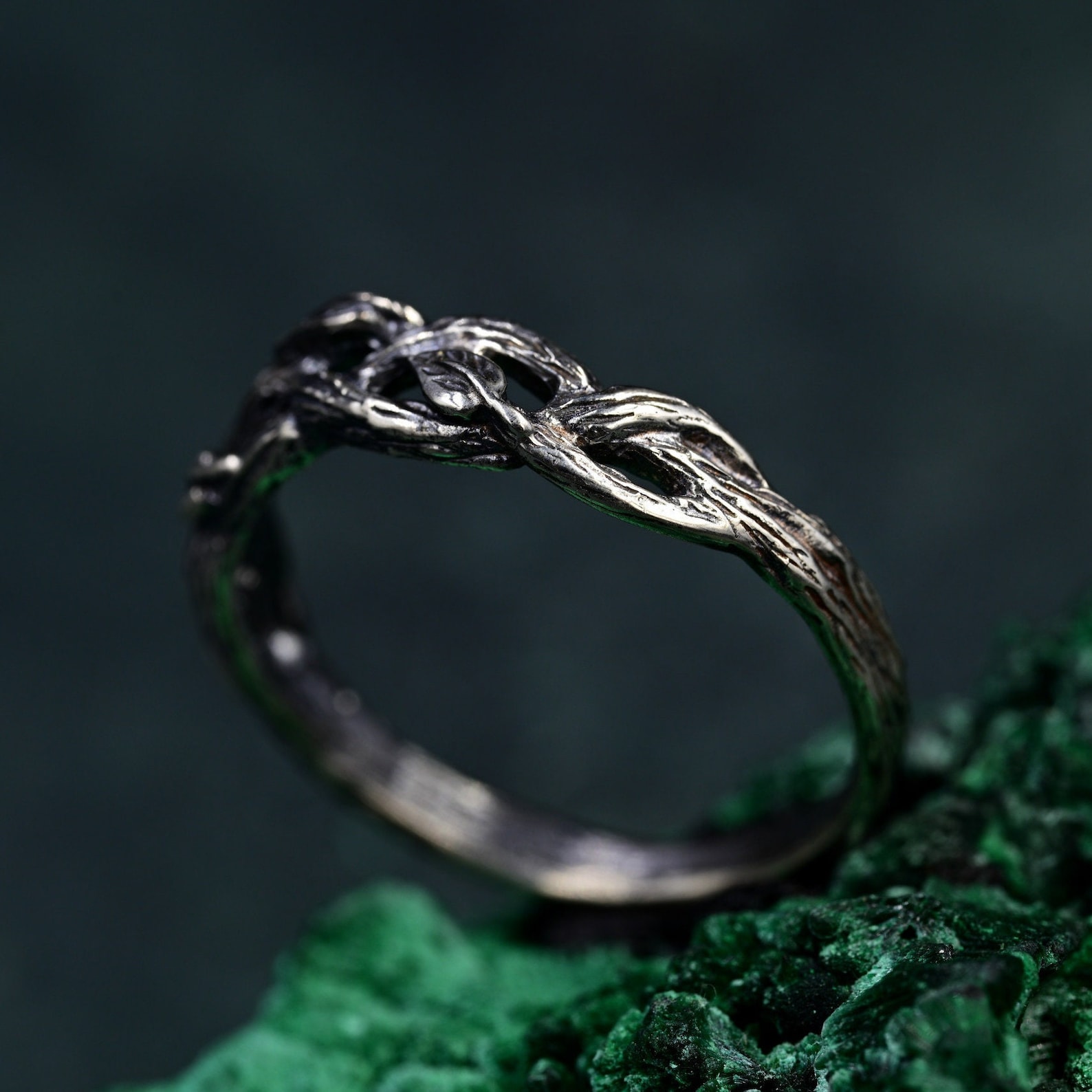 Silver Twisted Branch Ring, Nature-inspired Wedding Band, Botanical ...