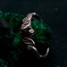 Woodland Promise Ring, Enchanted Forest Engagement, Nature Inspired ...