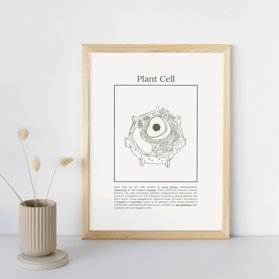 Plant Cell Structure Printable , Download Biology Lesson, Kids ...