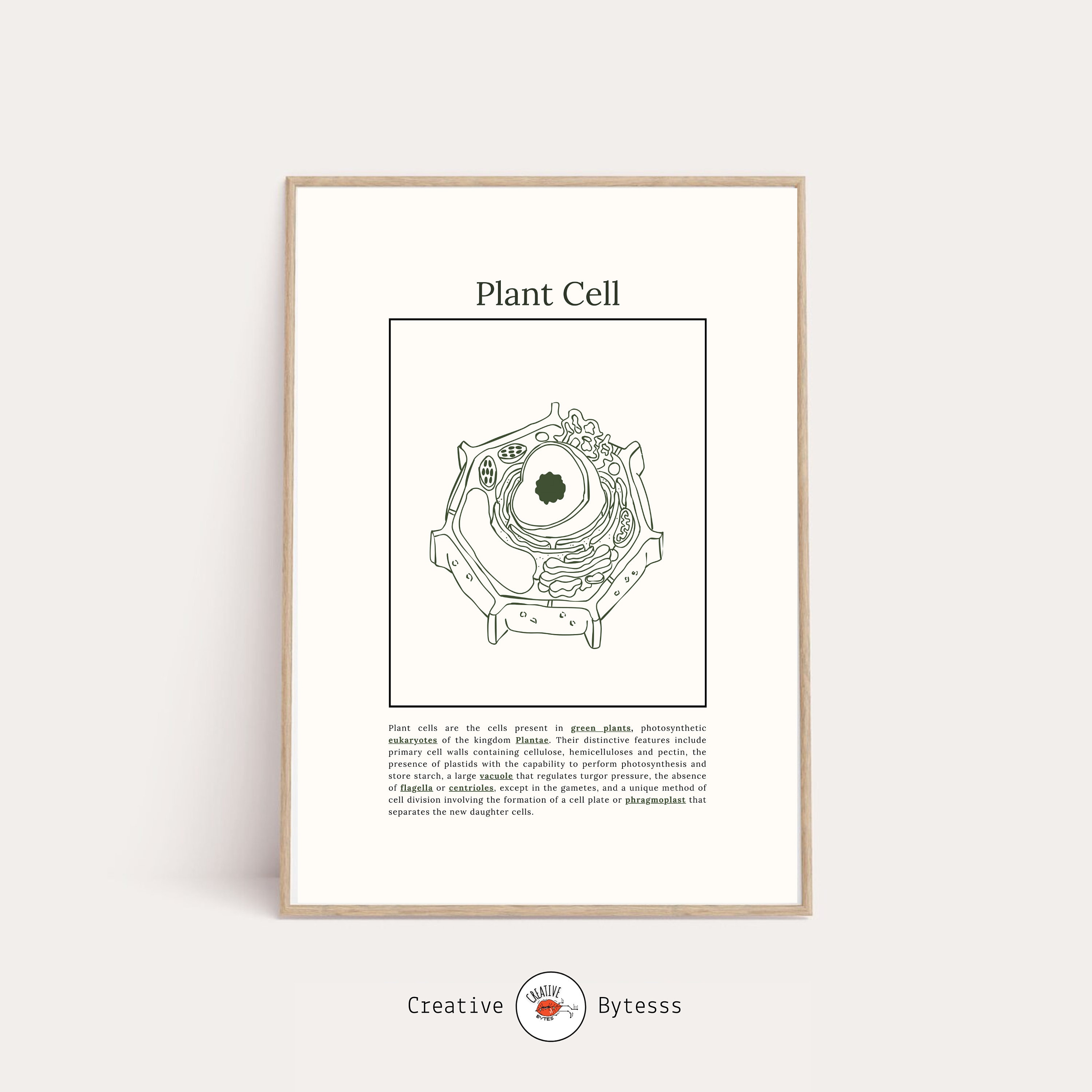 Plant Cell Structure Printable , Download Biology Lesson, Kids ...