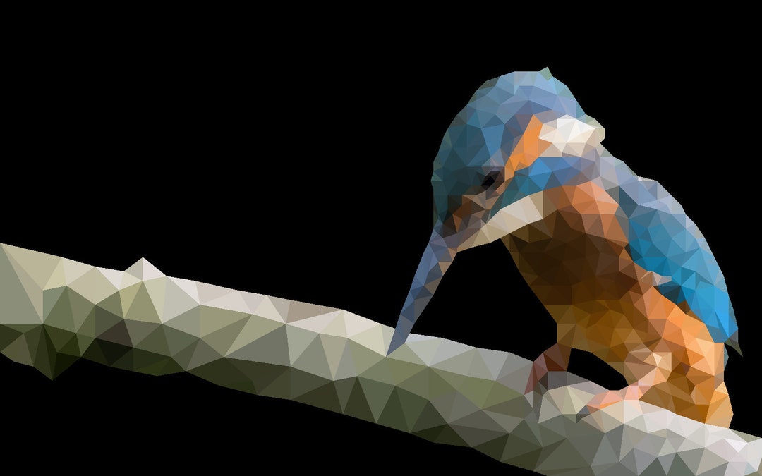 Polygon Art Bird Eisvogel - Etsy