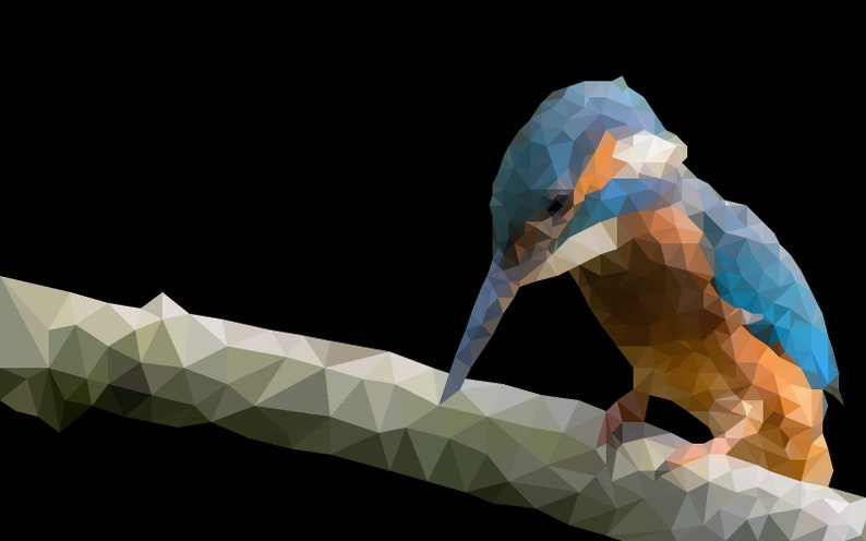 Polygon Art Bird Eisvogel - Etsy