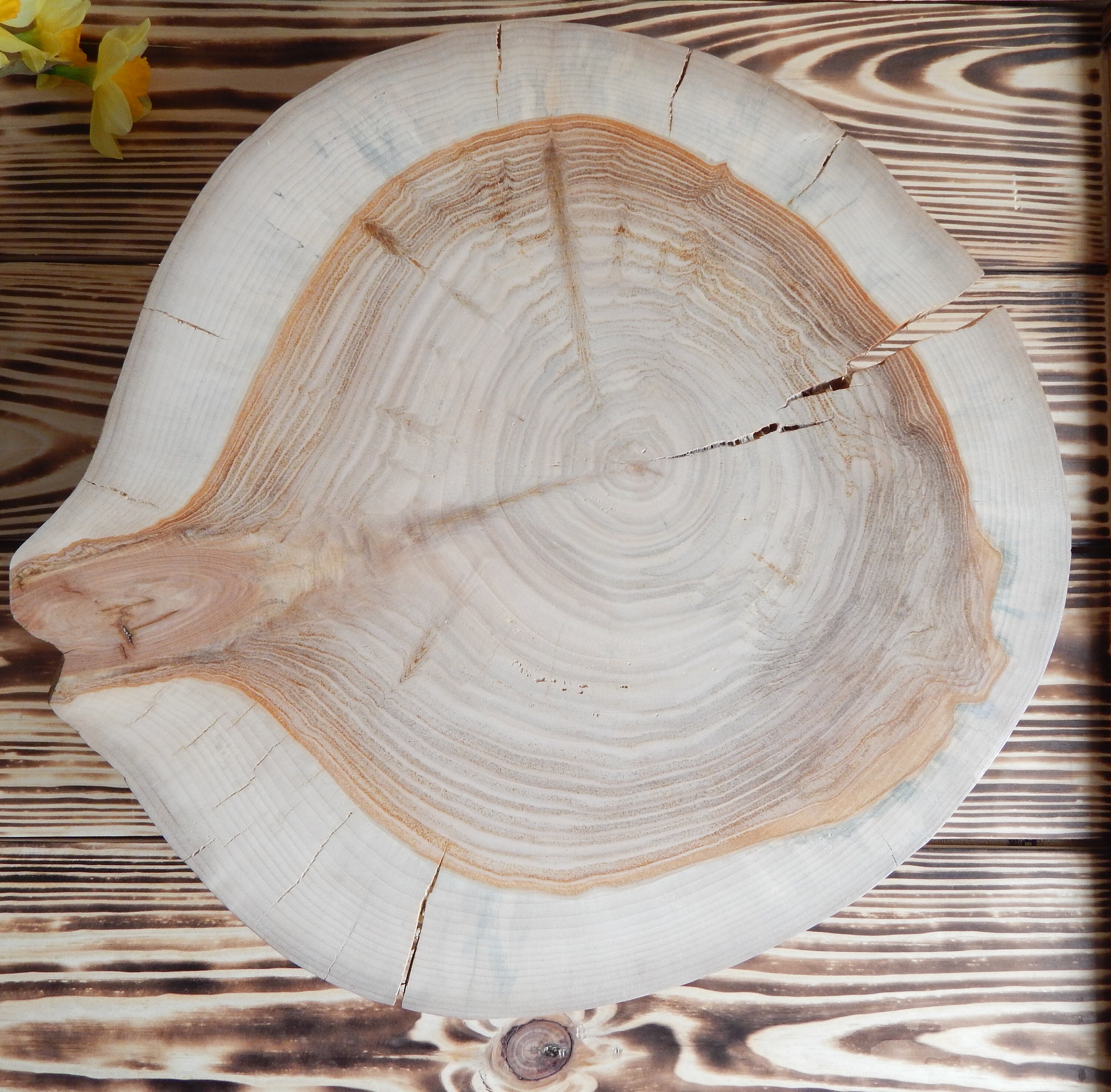 15 Inch Tree Wood Mini Table Rustic Wedding Centerpiece Large Wood ...