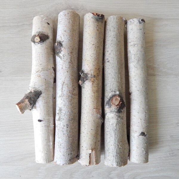 White Birch Logs - Etsy
