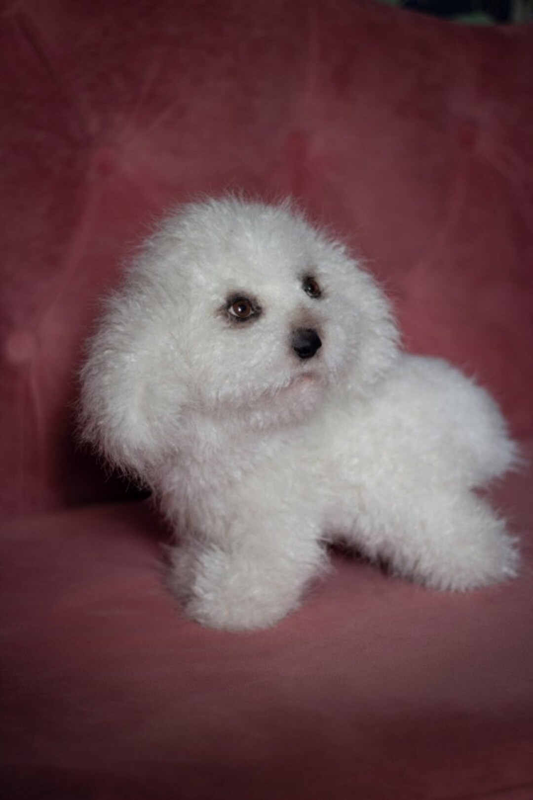 Fluffy Puppy Bim Realistic Toy Plush Stuffed Animal Dog Puppy Doll ...