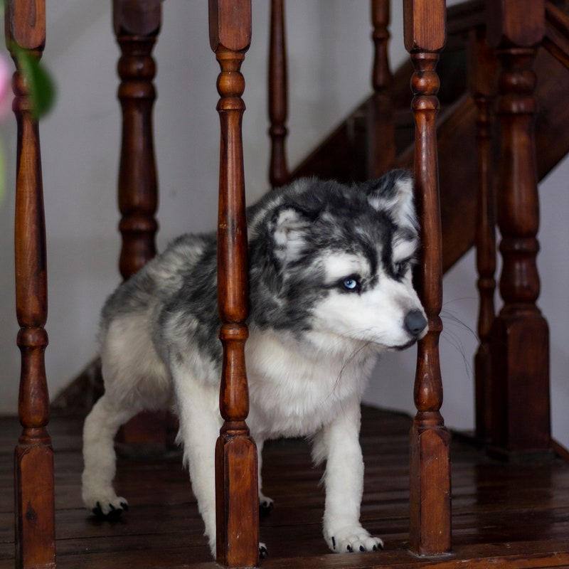 Realistic Stuffed Wolves - Etsy