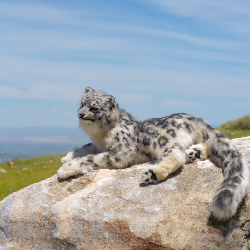 Plush Leopard - Etsy