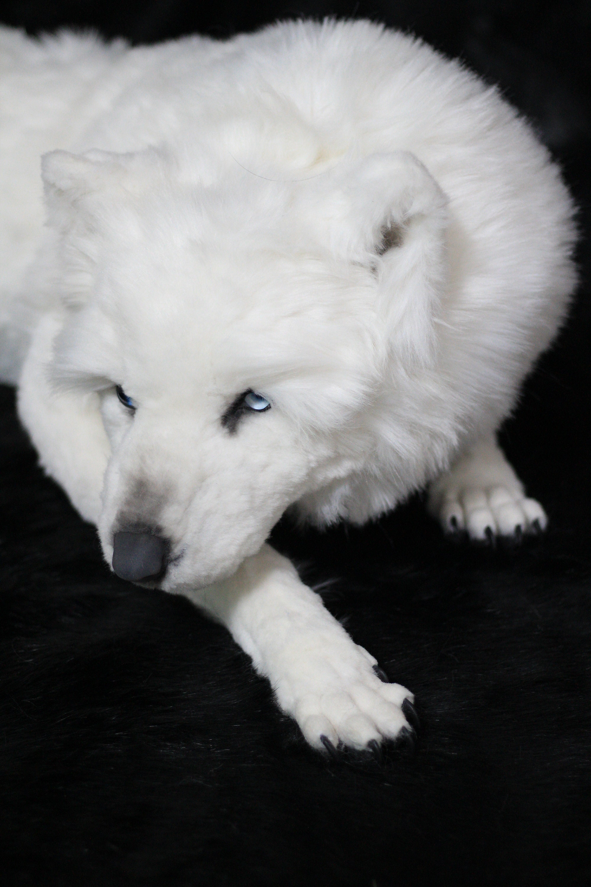 White Wolf/realistic Stuffed Animal Toys/realistic White Wolf/animals ...