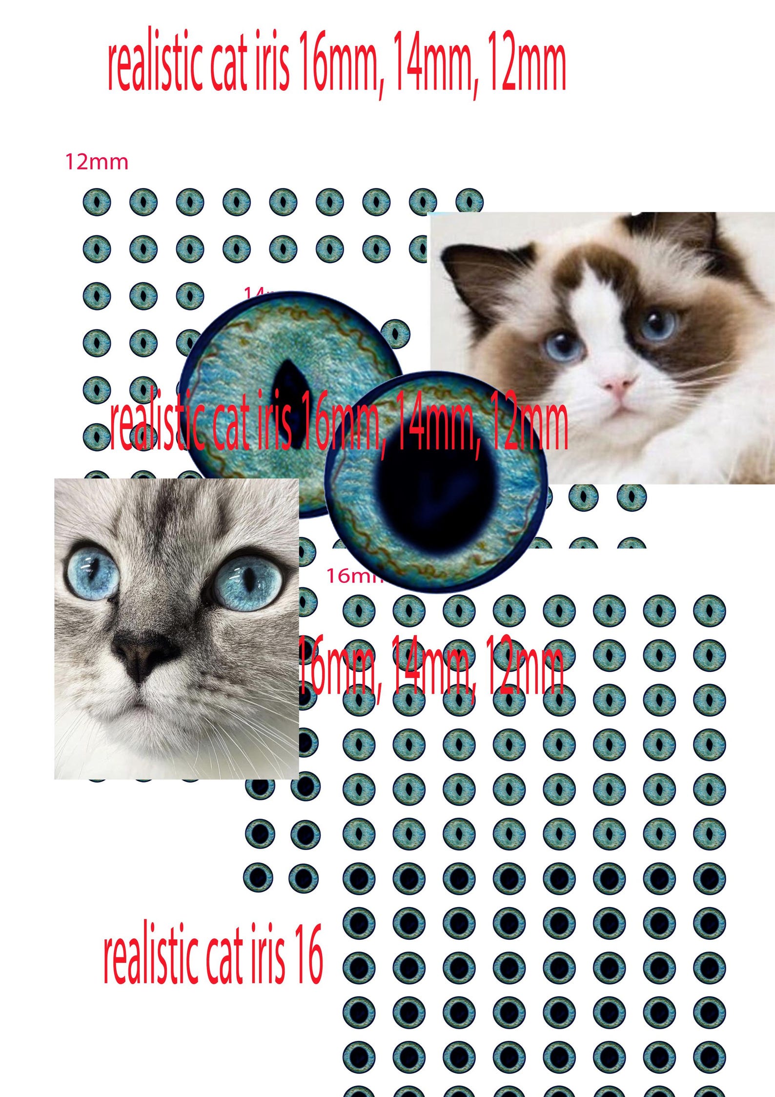 CAT EYES Blue Printable Craft Circles/cats Eye/animal Eye Images ...