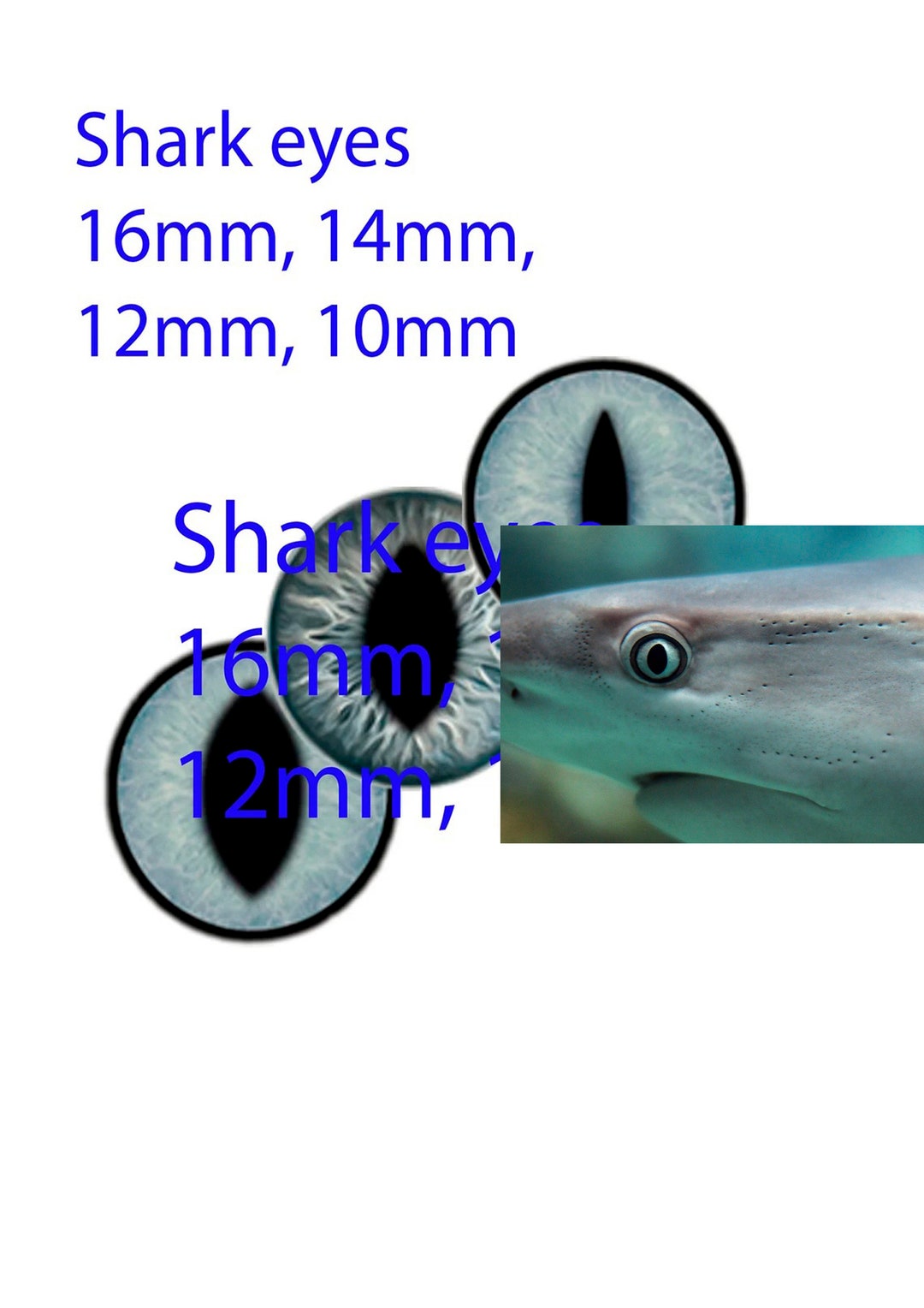Shark Eyes 16mm 14mm 12mm 10mm Animal Eye Images Realistic Shark Eyes ...