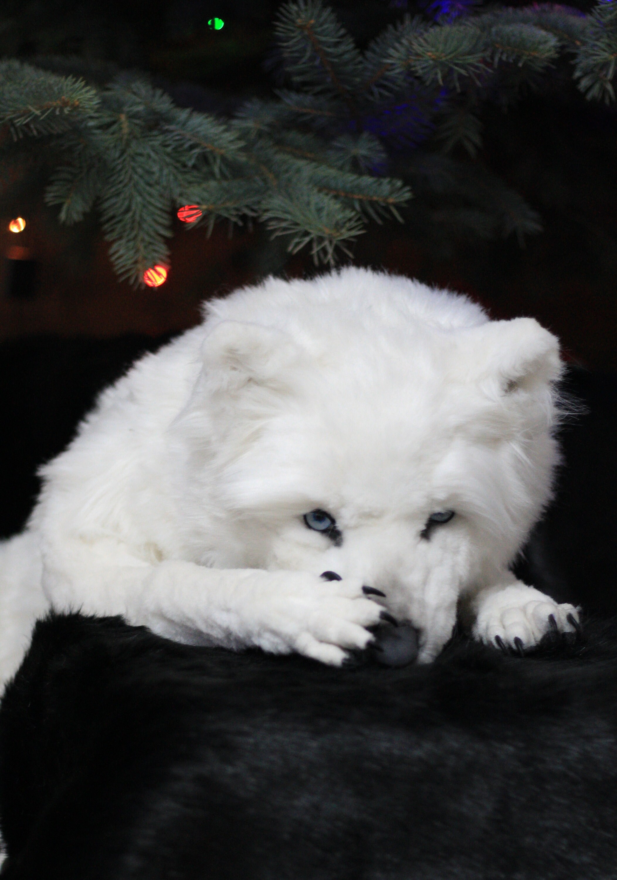 White Wolf/realistic Stuffed Animal Toys/realistic White Wolf/animals ...