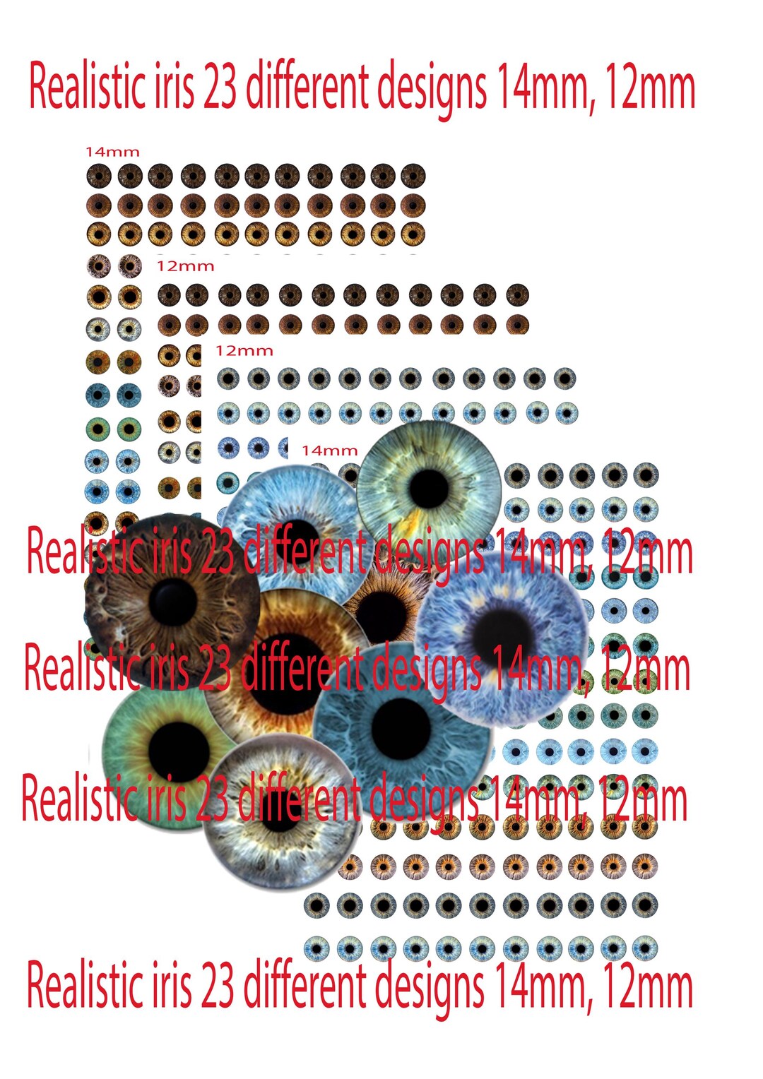 Realistic Iris for Dolls and Toys. Round Pupil. Sizes 14mm, 12mm ...