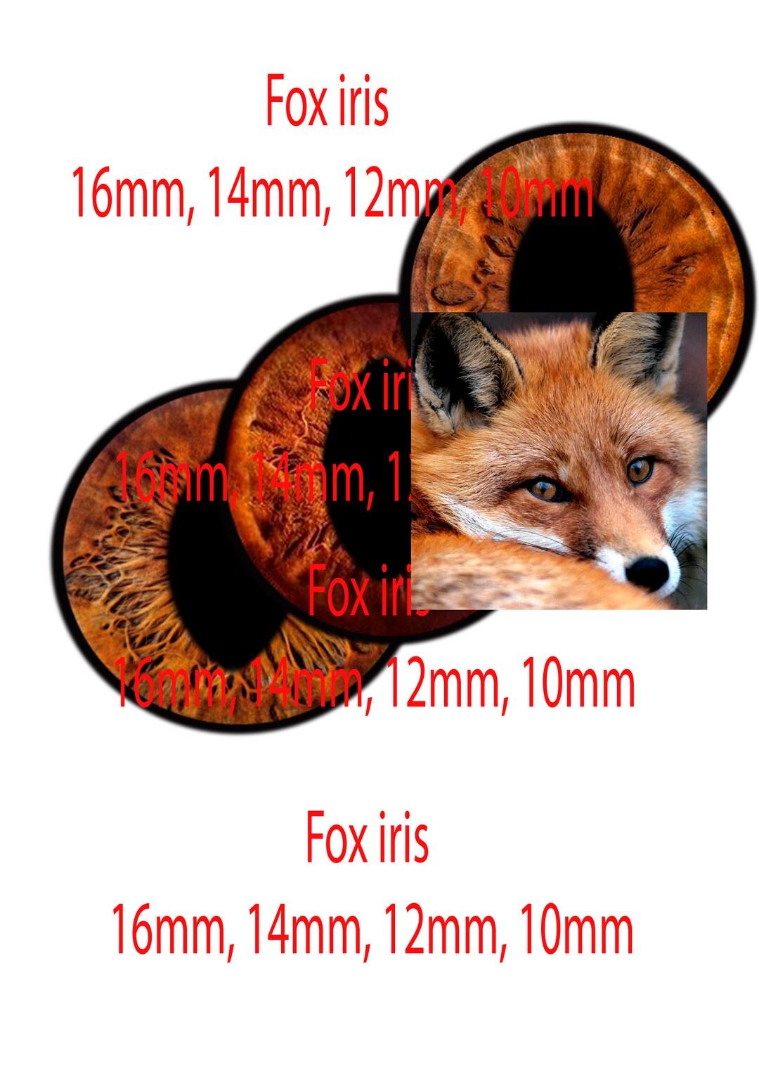 Fox Eyes 16mm 14mm 12mm 10mm Animal Eye Images Realistic Fox Eyes ...
