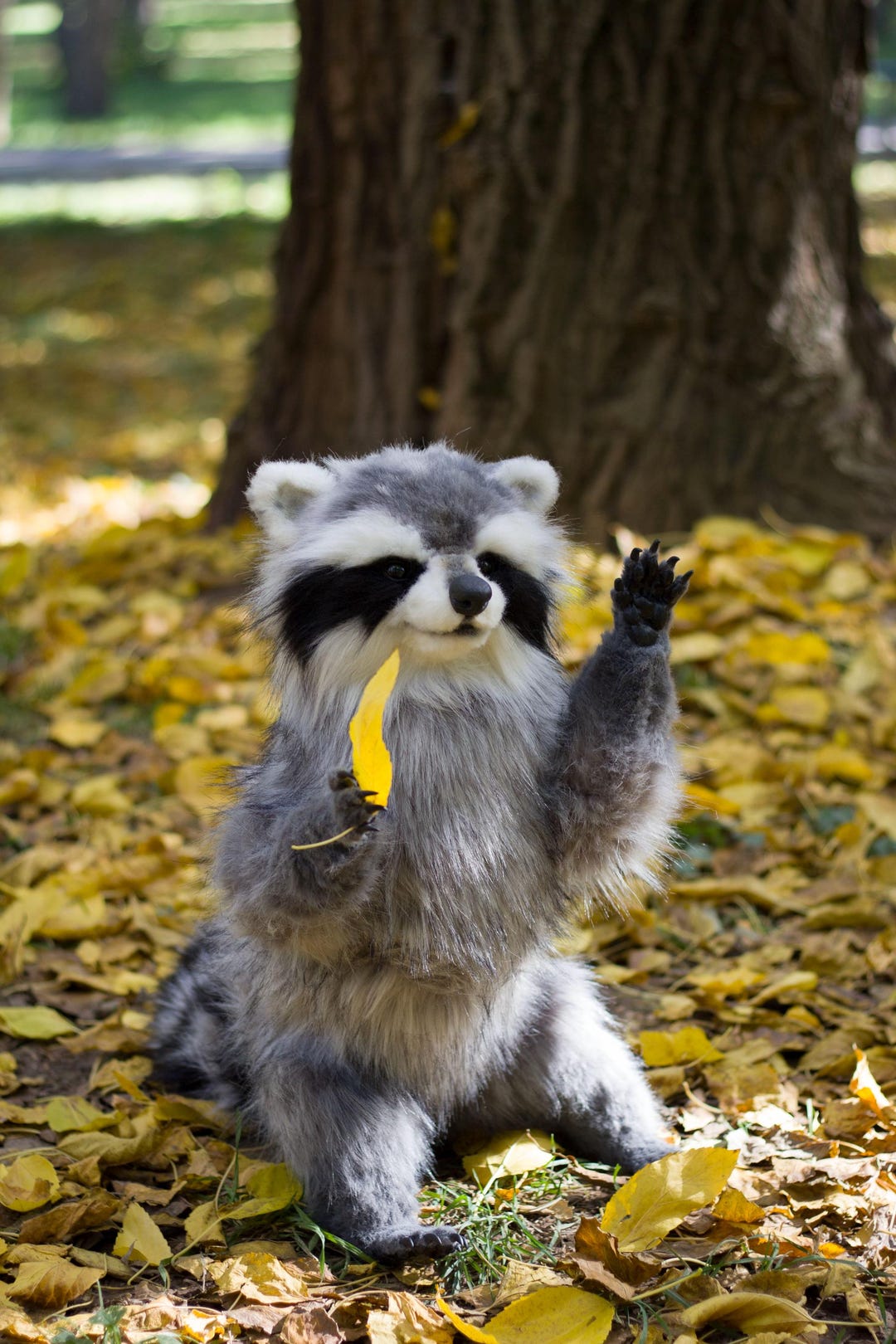 Raccoon Rusty Realistic Toy - Etsy