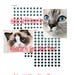 CAT EYES Blue Printable Craft Circles/cats Eye/animal Eye Images ...