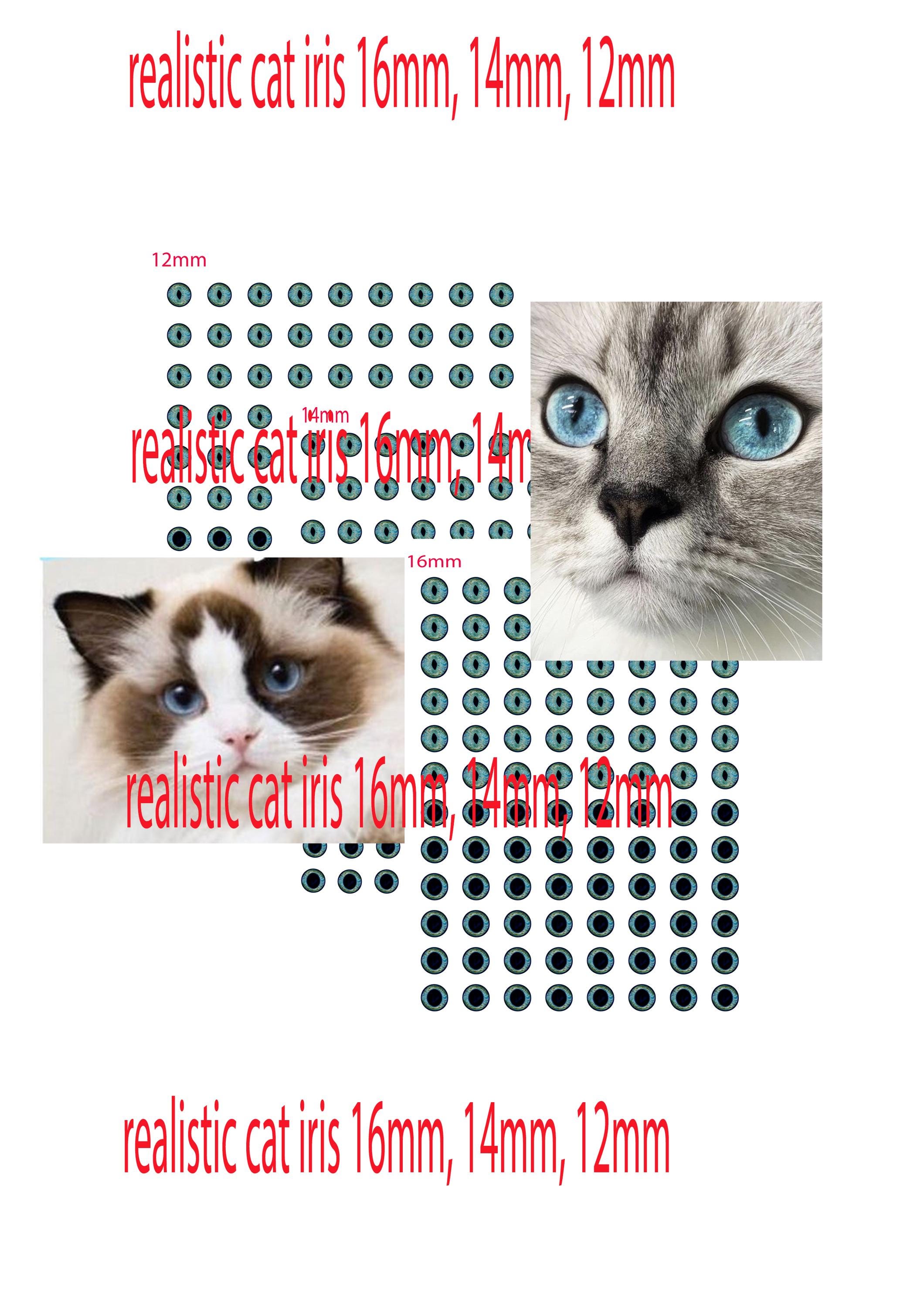 CAT EYES Blue Printable Craft Circles/cats Eye/animal Eye Images ...