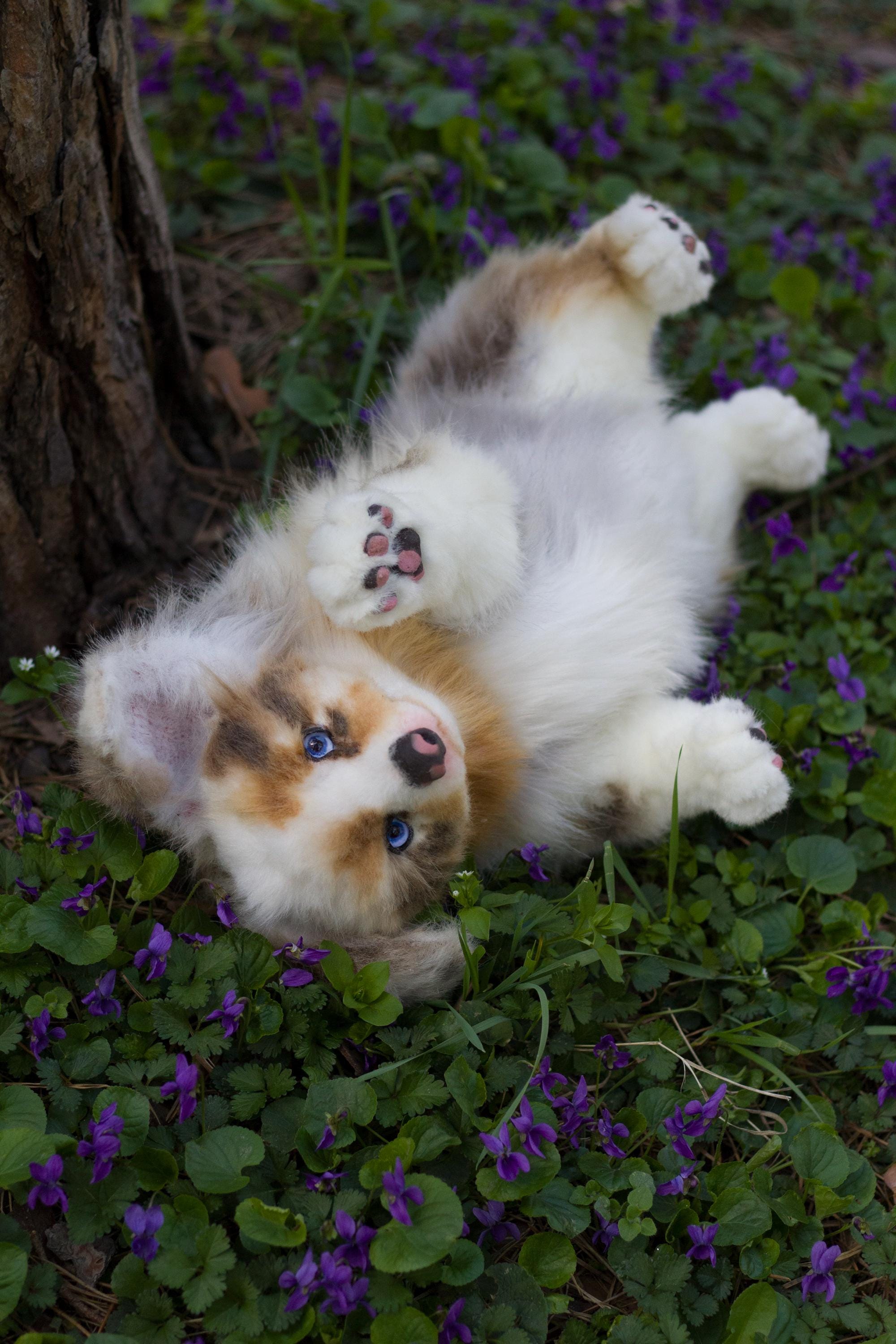 Aussie Puppy Lucky Poseable Life-size Handmade Plush Dog Collectible ...