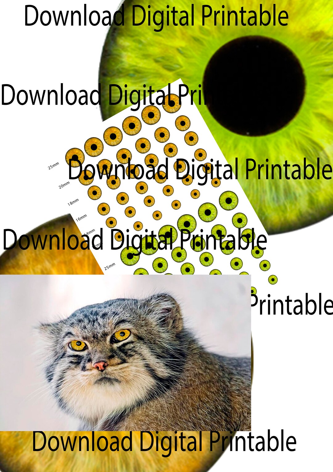 Creature CAT EYES Printable Craft Circles.eyes for Wild Cats/eyes for ...