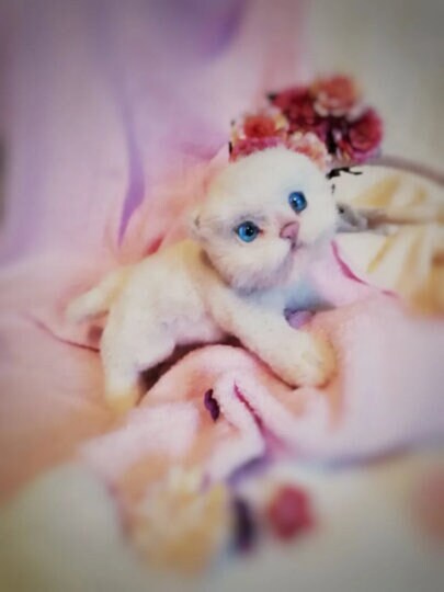 Pattern Small Kitten. Pattern Pdf, Pattern Kitten, Pattern Plush Toys ...