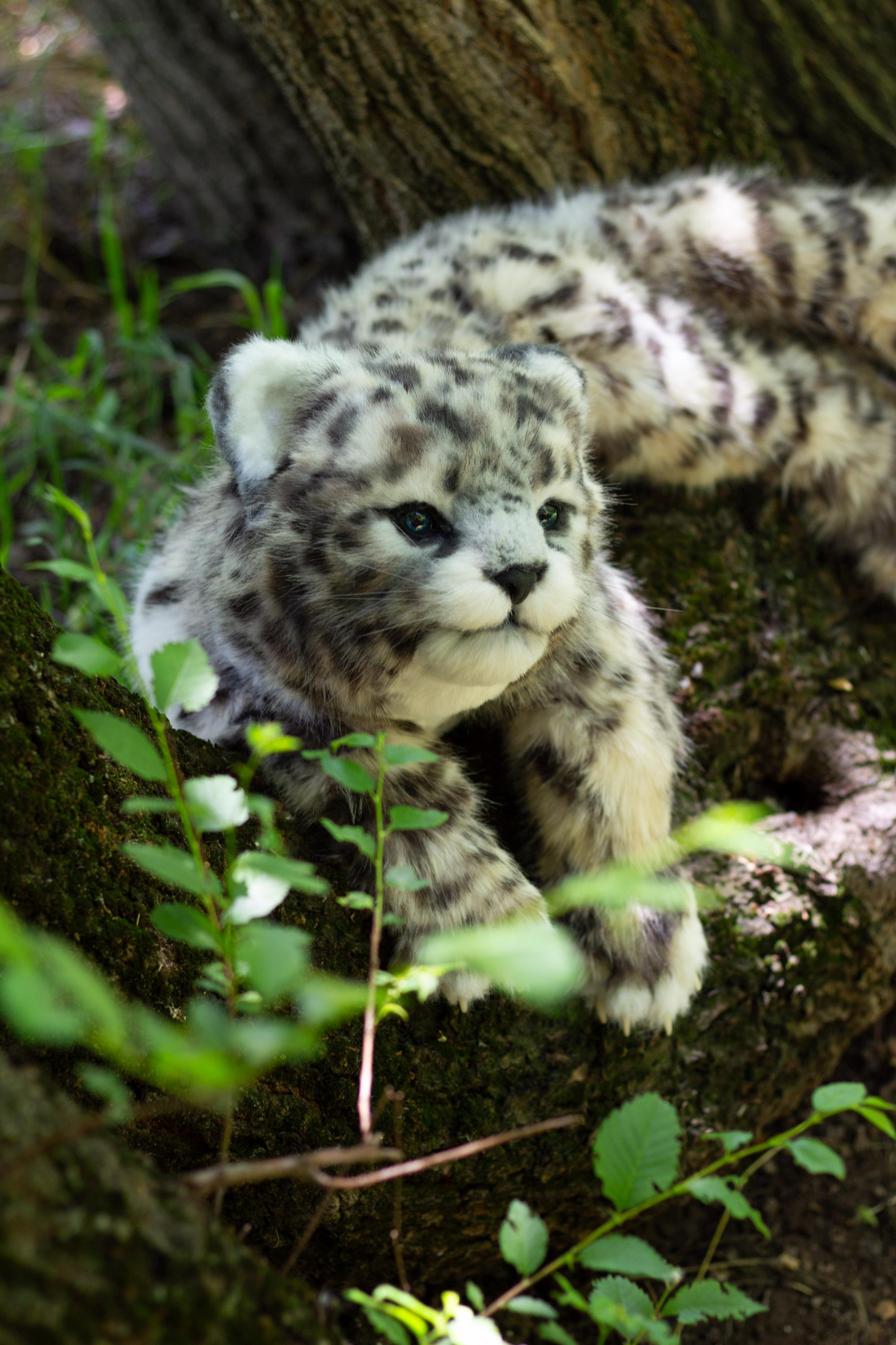 Snow Leopard Cub Baytar Realistic Stuffed Animal Toys Realistic Cat ...
