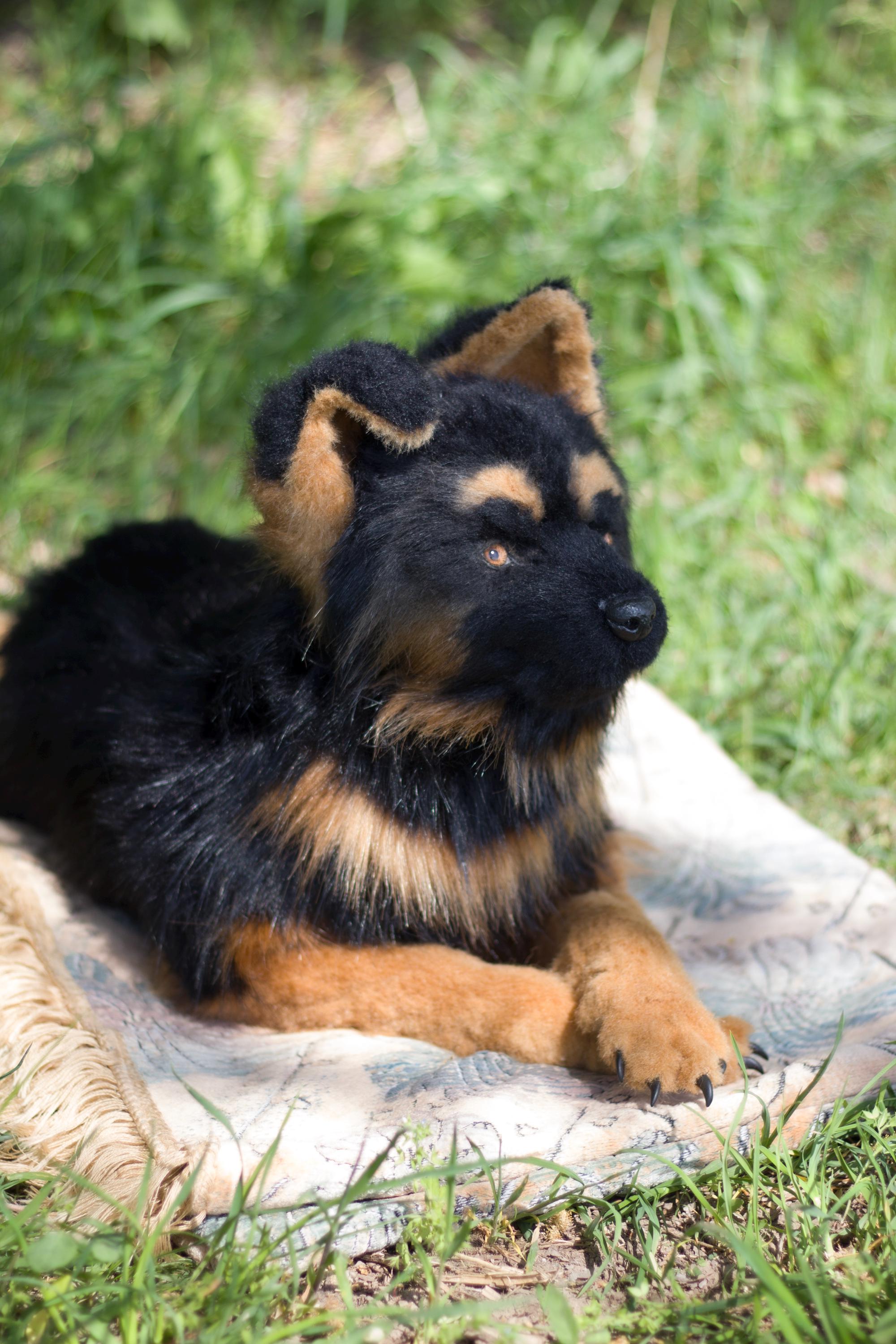 German Shepherd Puppy Amadeus Poseable Handmade Plush Life-size Animal ...