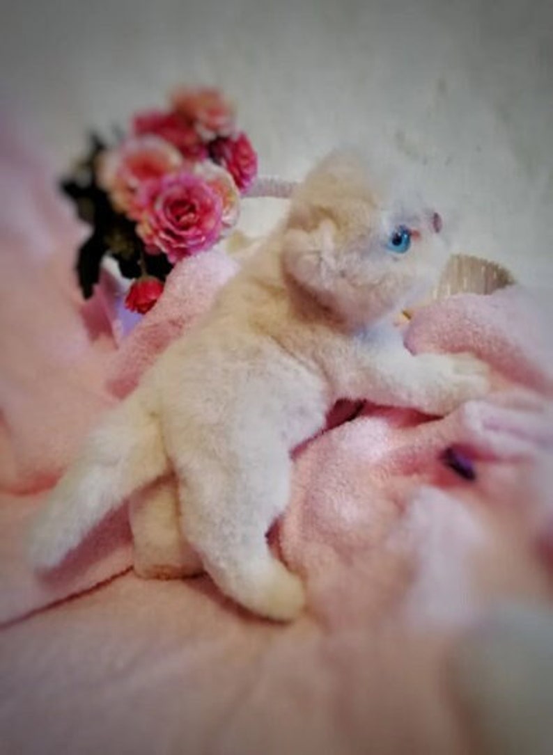 Pattern Small Kitten. Pattern Pdf, Pattern Kitten, Pattern Plush Toys ...