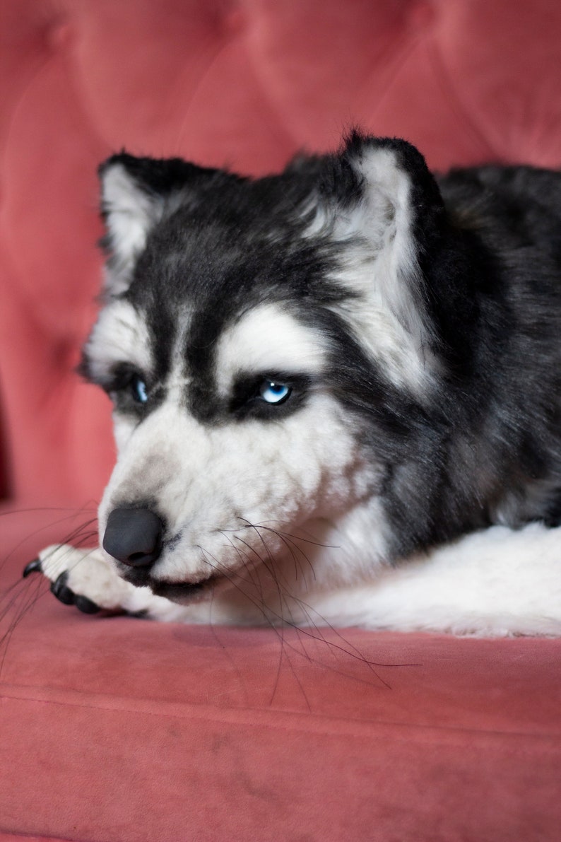 Husky Dog Realistic Stuffed Animal Toys/realistic Husky Dog /animals ...