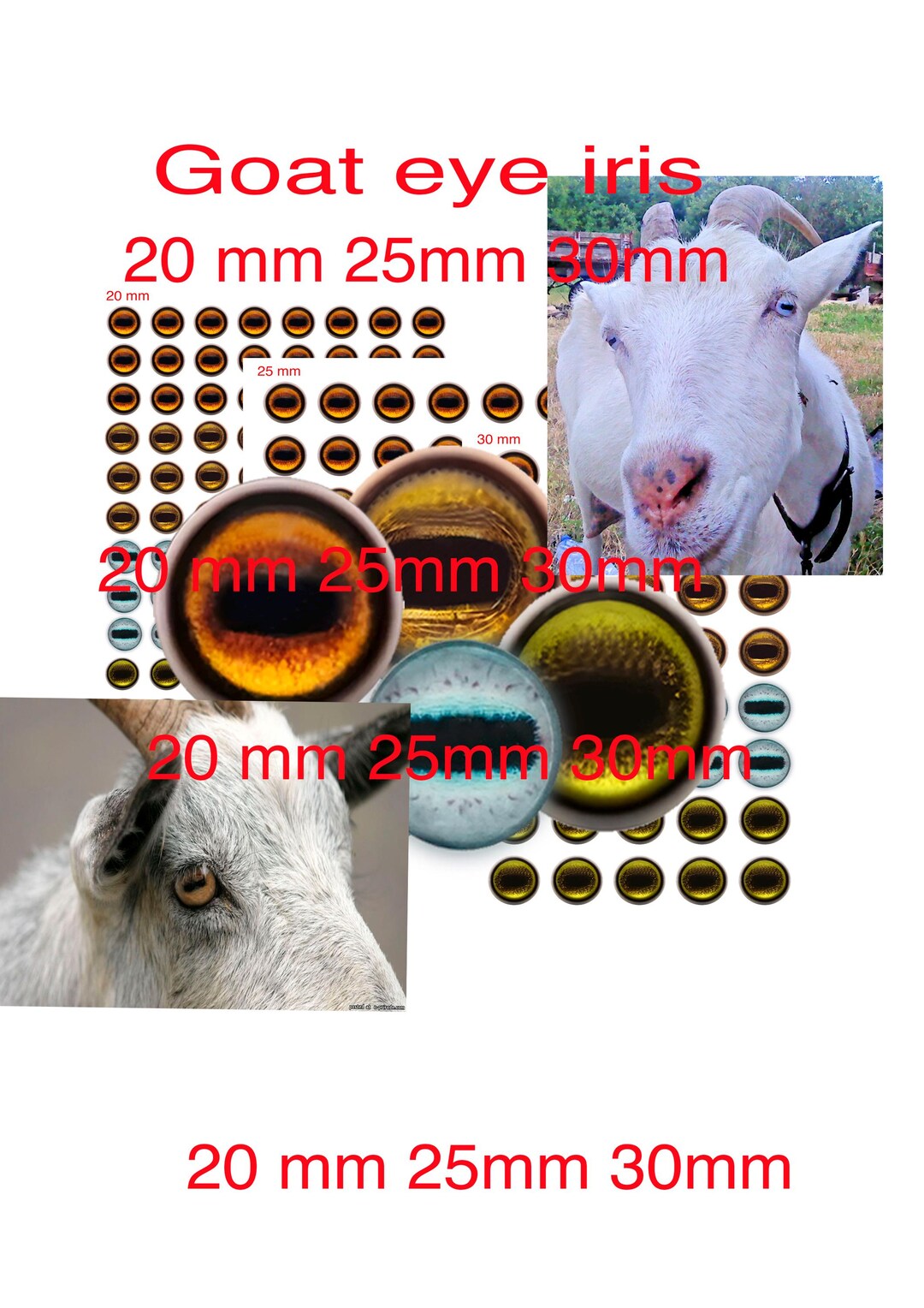 Realistic Goat Eye Iris 20mm 25mm 30mm Printable Craft Circles/cats Eye ...
