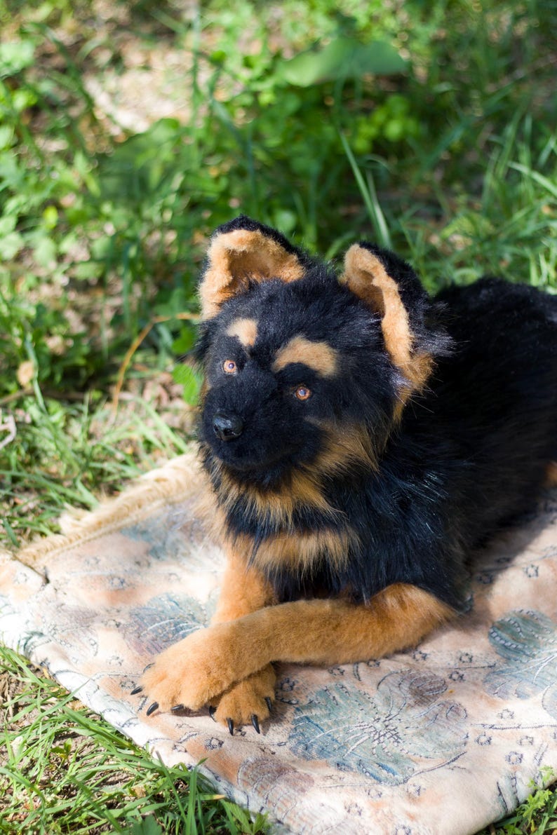 German Shepherd Puppy Amadeus Poseable Handmade Plush Life-size Animal ...