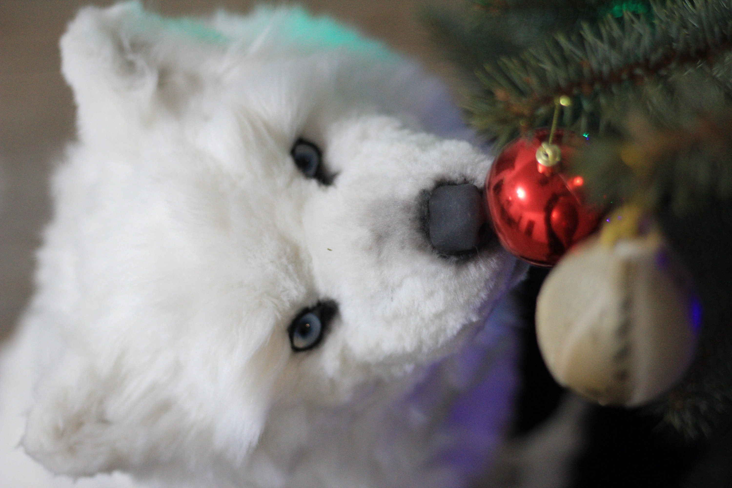 White Wolf/realistic Stuffed Animal Toys/realistic White Wolf/animals ...