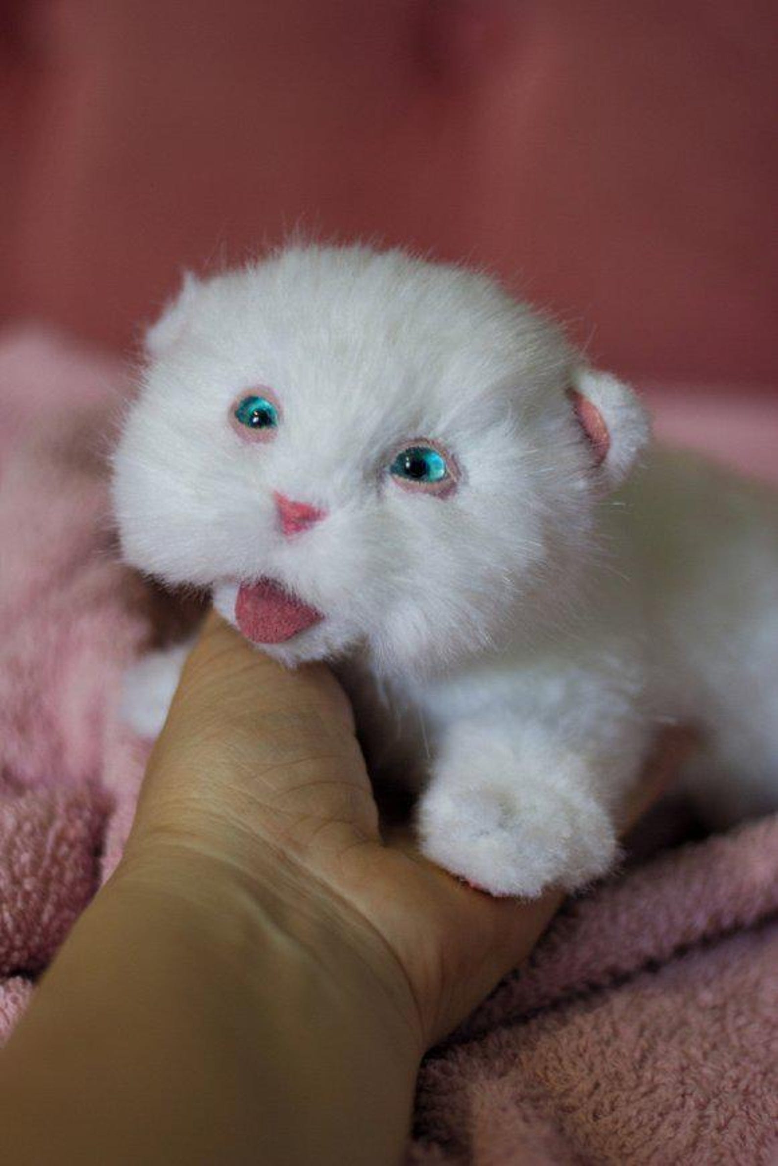 Little White Kitten/realistic Toy/plush Stuffed Animal/cute Handmade ...