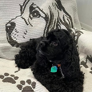 Cocker Spaniel Blanket, Mosaic Crochet Blanket Pattern, Mosaic Overlay ...