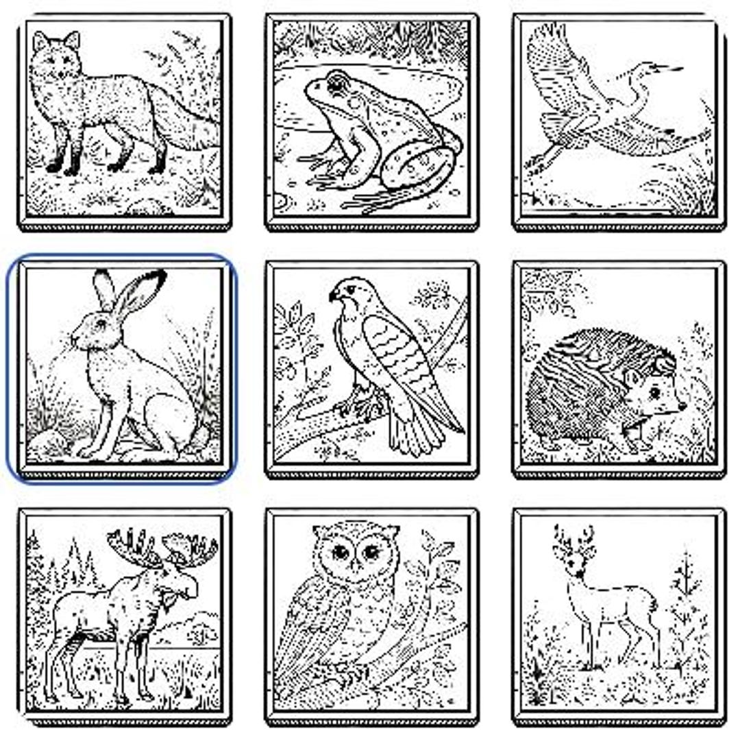 Digital Coloring Pages – Forest Animals (15 A5 Format Images) - Etsy