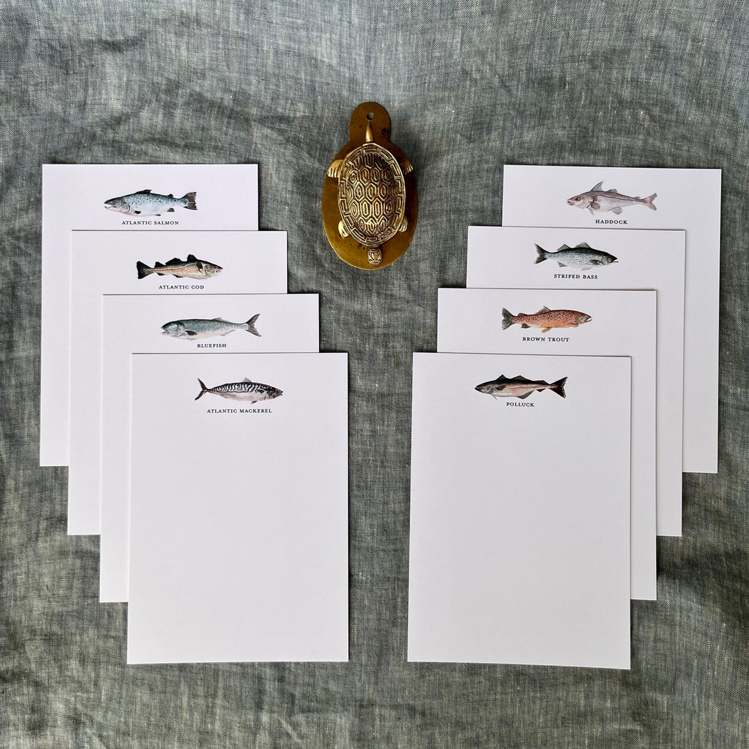 Assorted Fish Notecards - Etsy