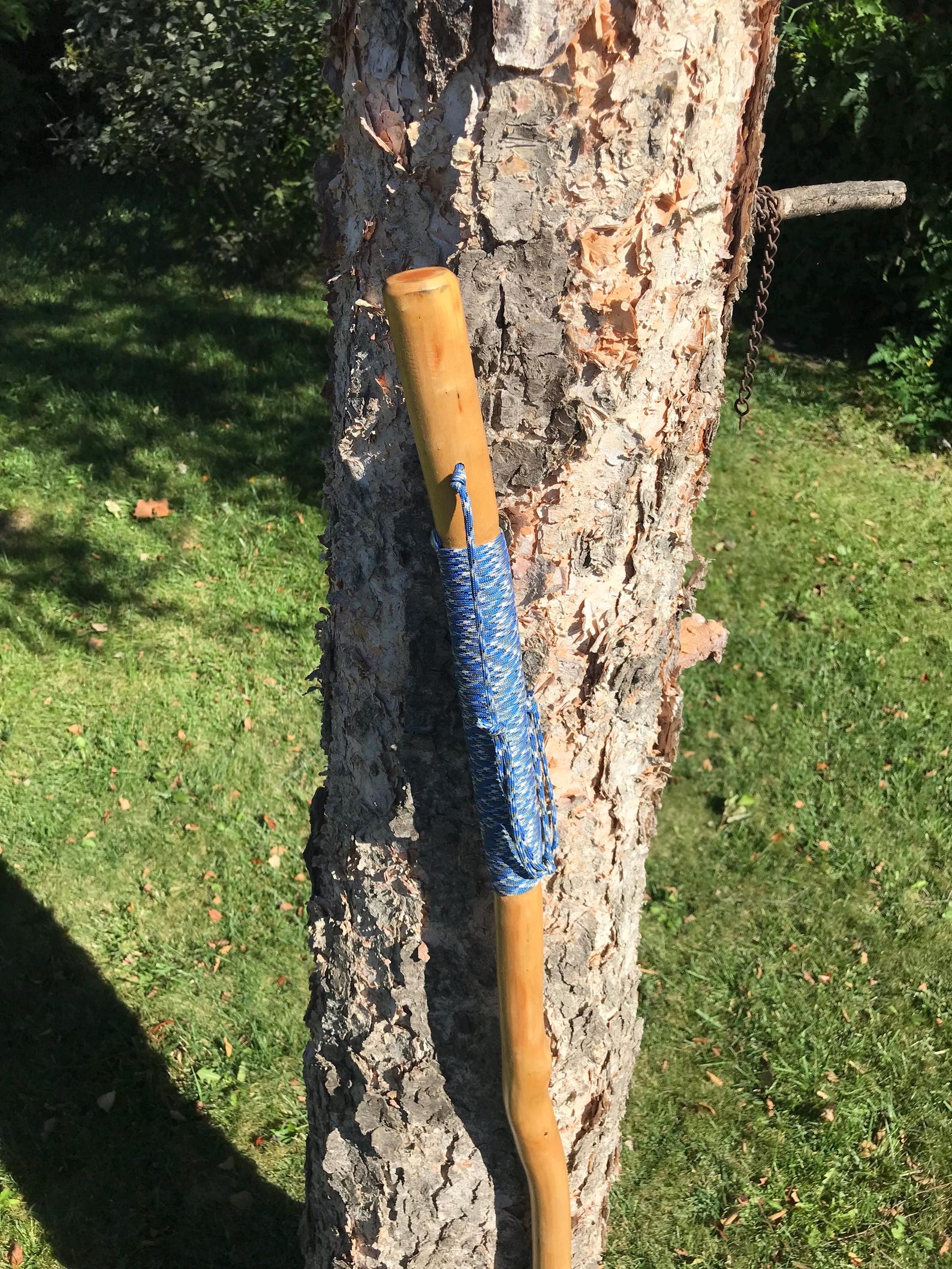 Hiking Stick 60in Buckthorn Wood Natural Bend 550 Paracord Handgrip ...