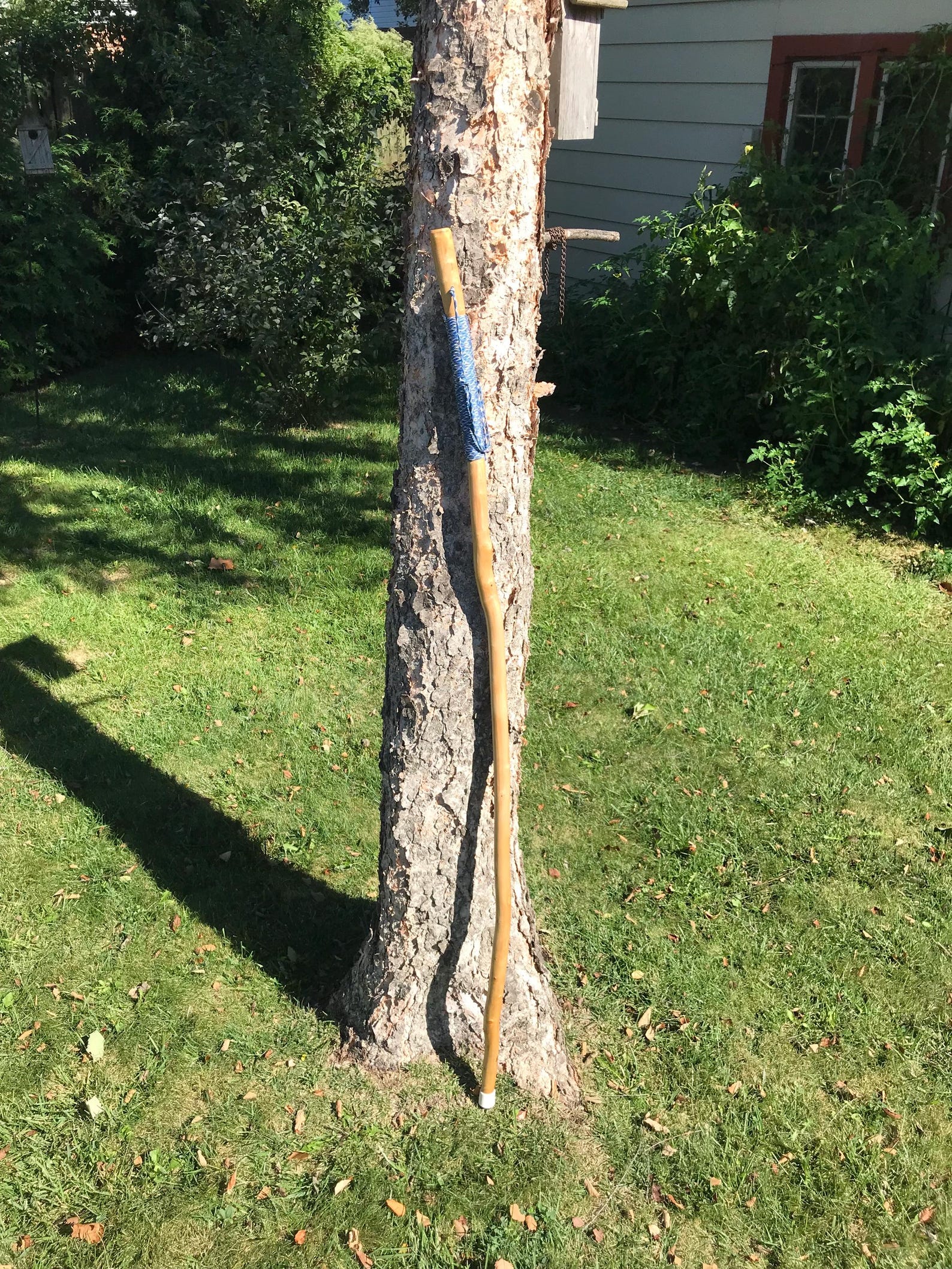 Hiking Stick 60in Buckthorn Wood Natural Bend 550 Paracord Handgrip ...