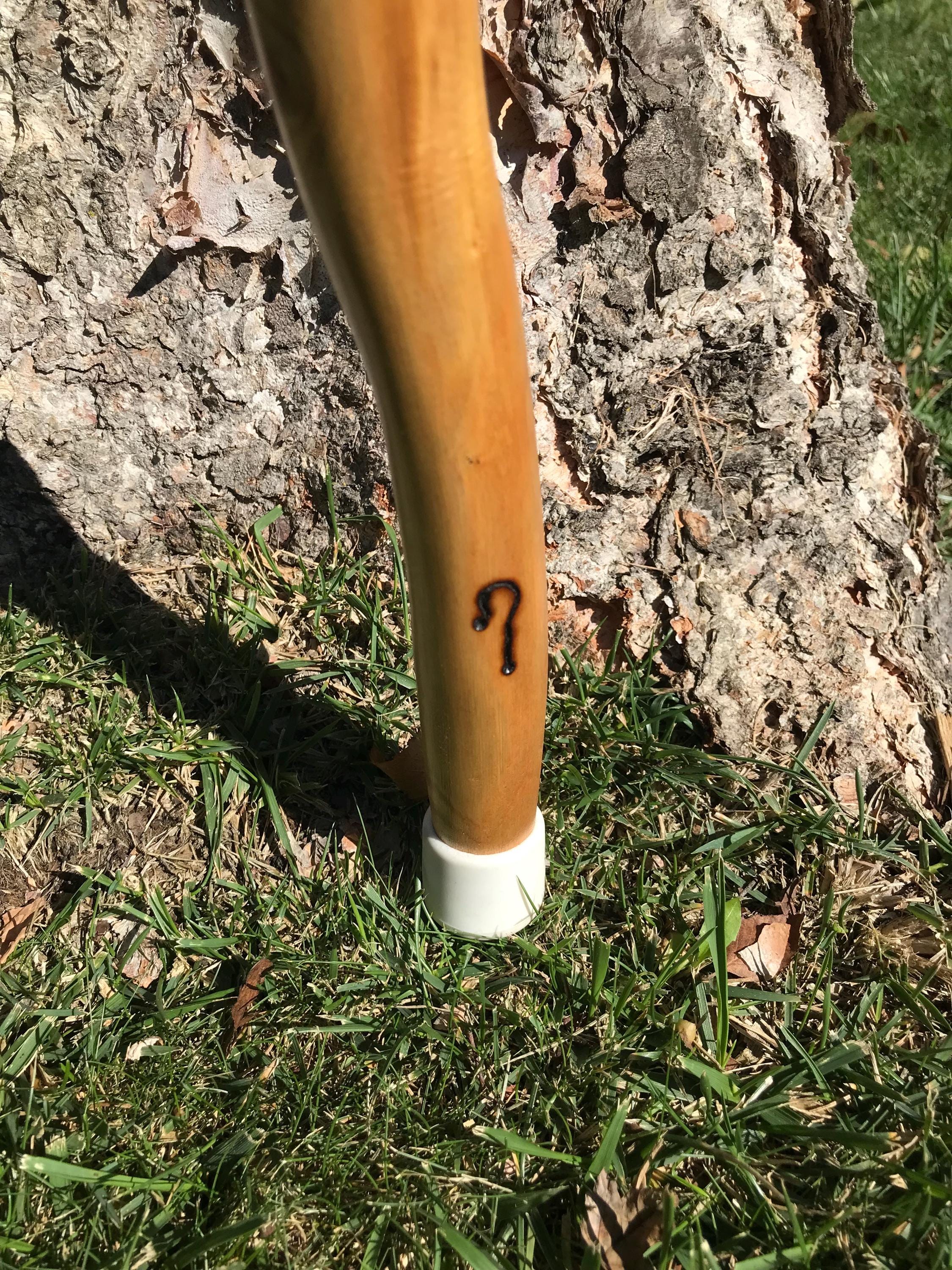 Hiking Stick 60in Buckthorn Wood Natural Bend 550 Paracord Handgrip ...