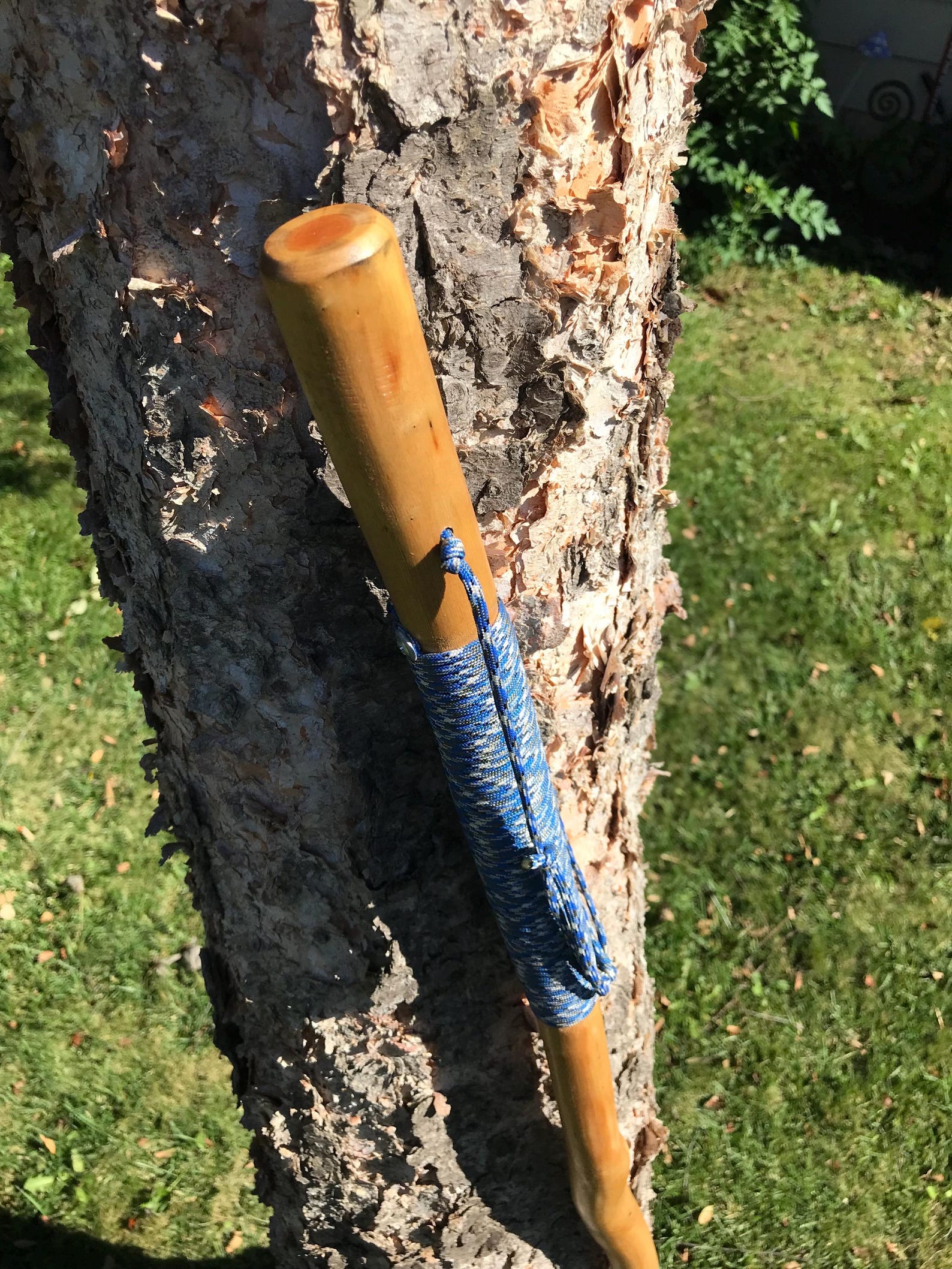 Hiking Stick 60in Buckthorn Wood Natural Bend 550 Paracord Handgrip ...