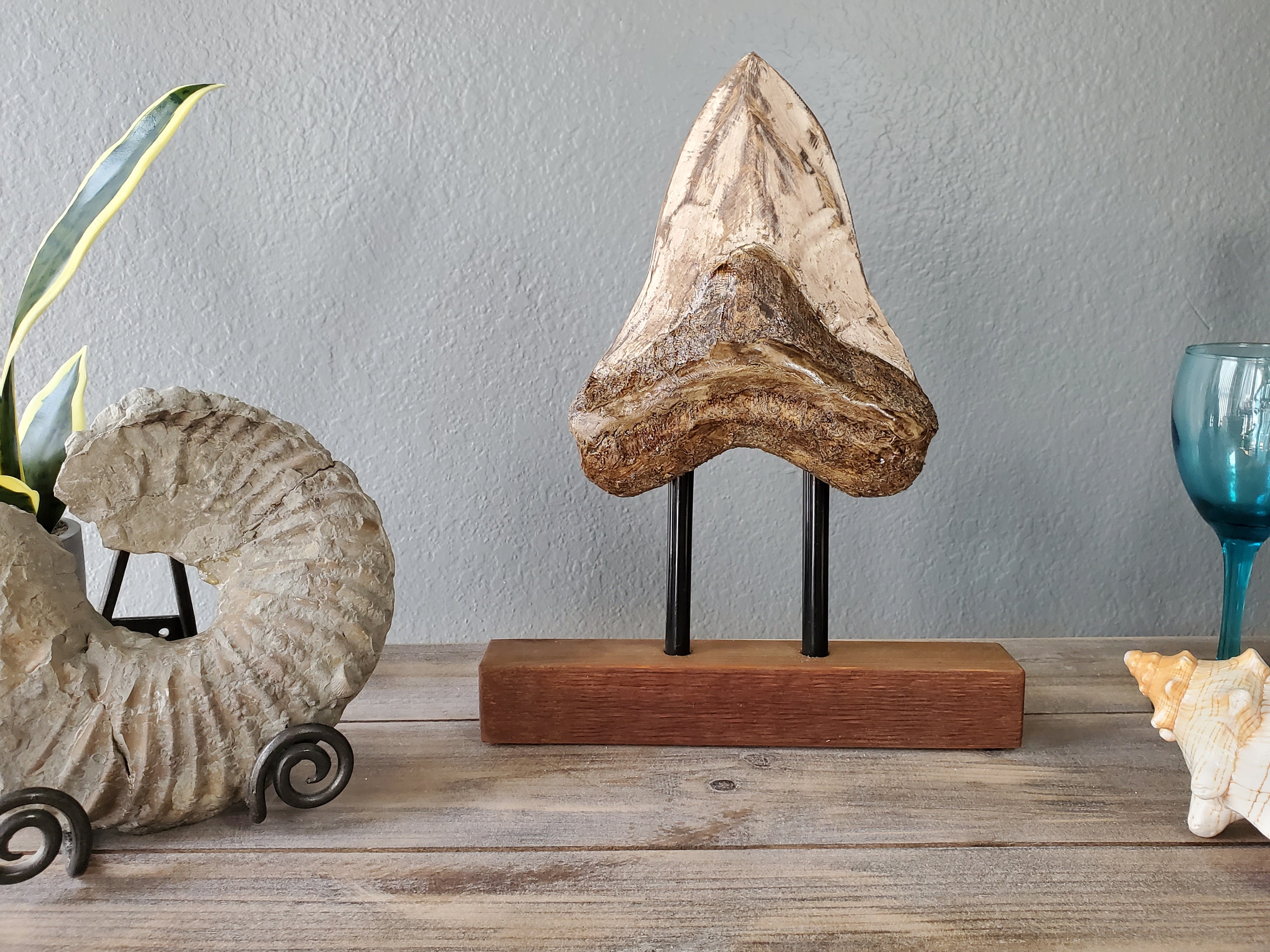 Megalodon Shark Tooth Sculpture Carved From Wood 13 Tall - Etsy