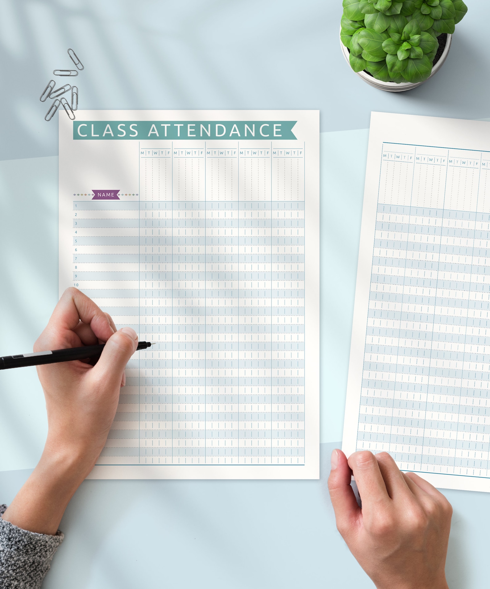Student Attendance Sheet & Seating Chart Template Teacher | Etsy