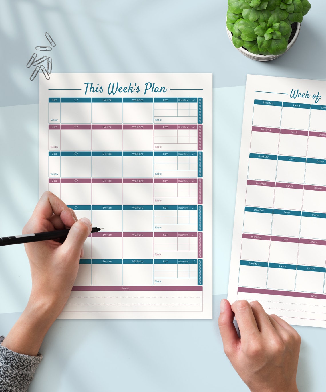Weekly Fitness & Meal Planner Weekly Workout Planner | Etsy